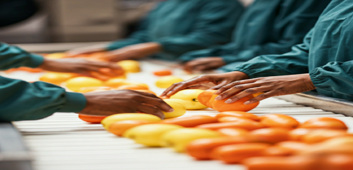 Sanitation Jobs in the Food Industry: Career Opportunities Nationwide